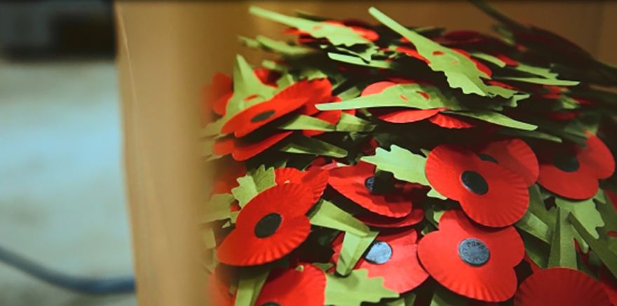 Production of Royal British Legion’s new plastic-free poppy revealed ...